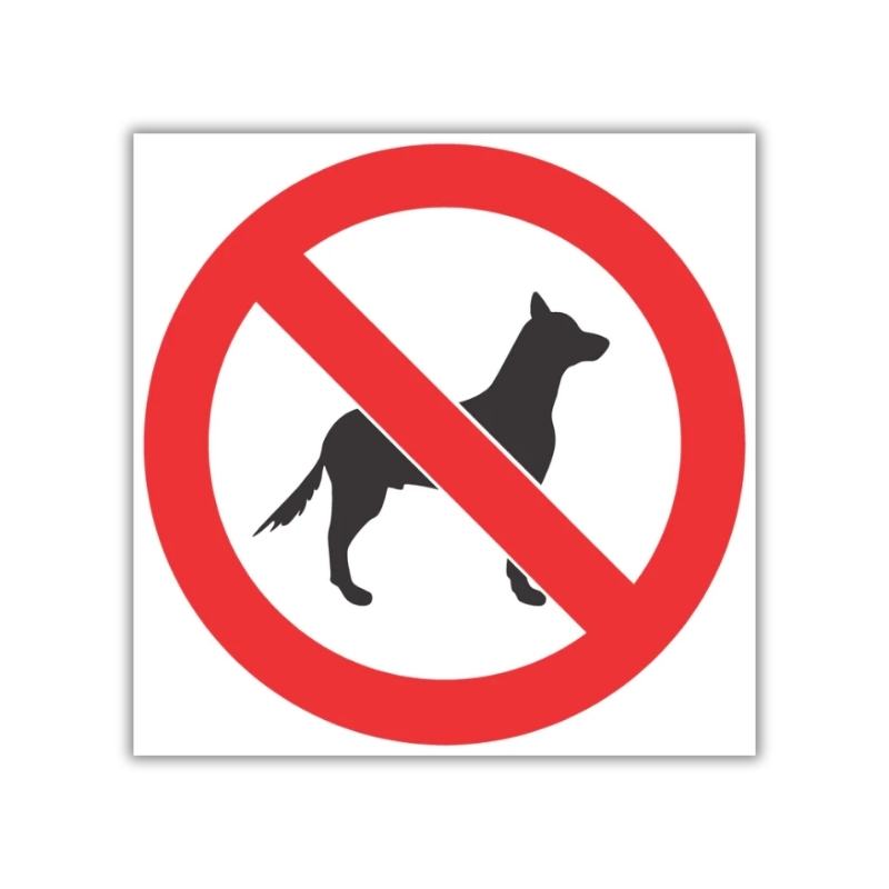 No Dogs Safety Sign (PV20) - Prohibitory Signs (PV)